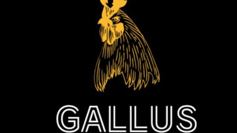 gallus-logo-vecinozakia - Vecino Zakia
